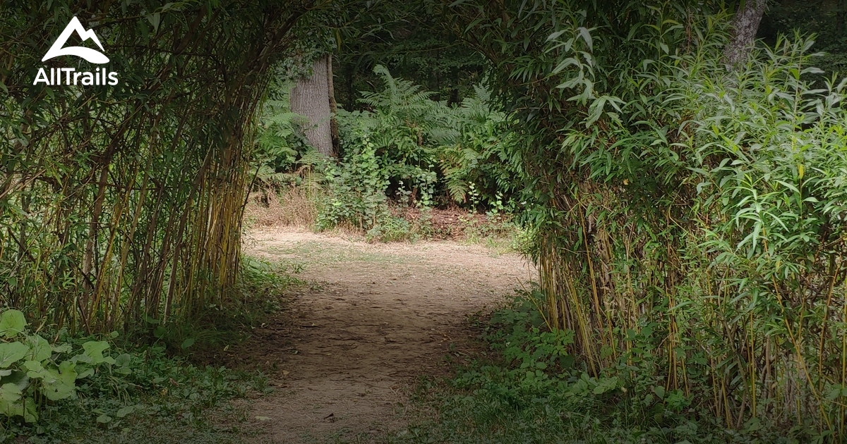 Virton : les meilleures randonnées et itinéraires | AllTrails