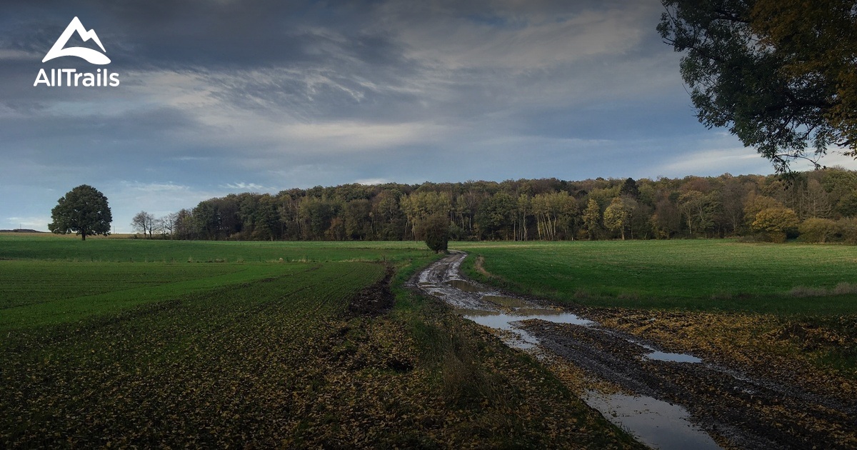 Faulx-les-Tombes : les meilleures randonnées et itinéraires | AllTrails