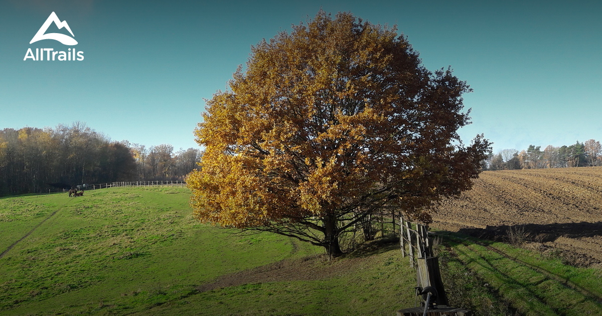 Los mejores senderos para ir de acampada en Grez-Doiceau | AllTrails
