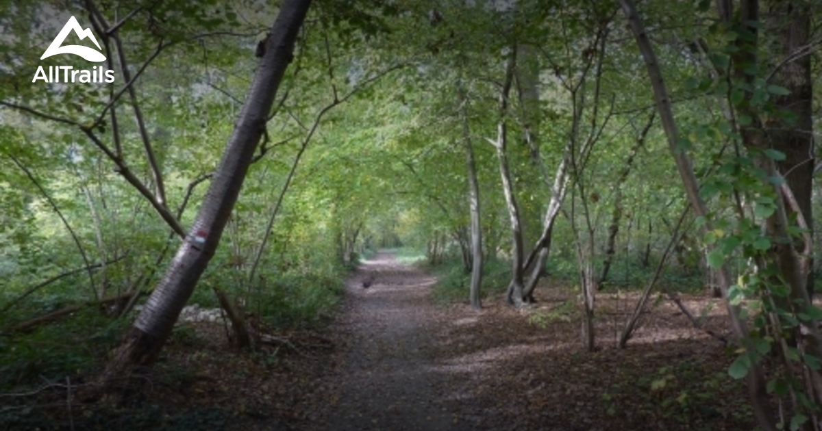 10 Best trails and hikes in Jodoigne | AllTrails