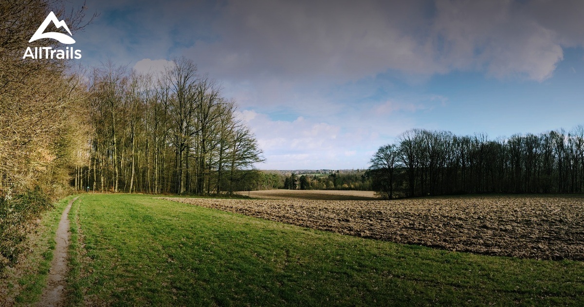 2023 Best Moderate Trails in Lasne | AllTrails