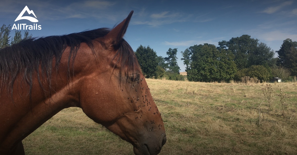 Rebecq : les meilleures randonnées et itinéraires | AllTrails