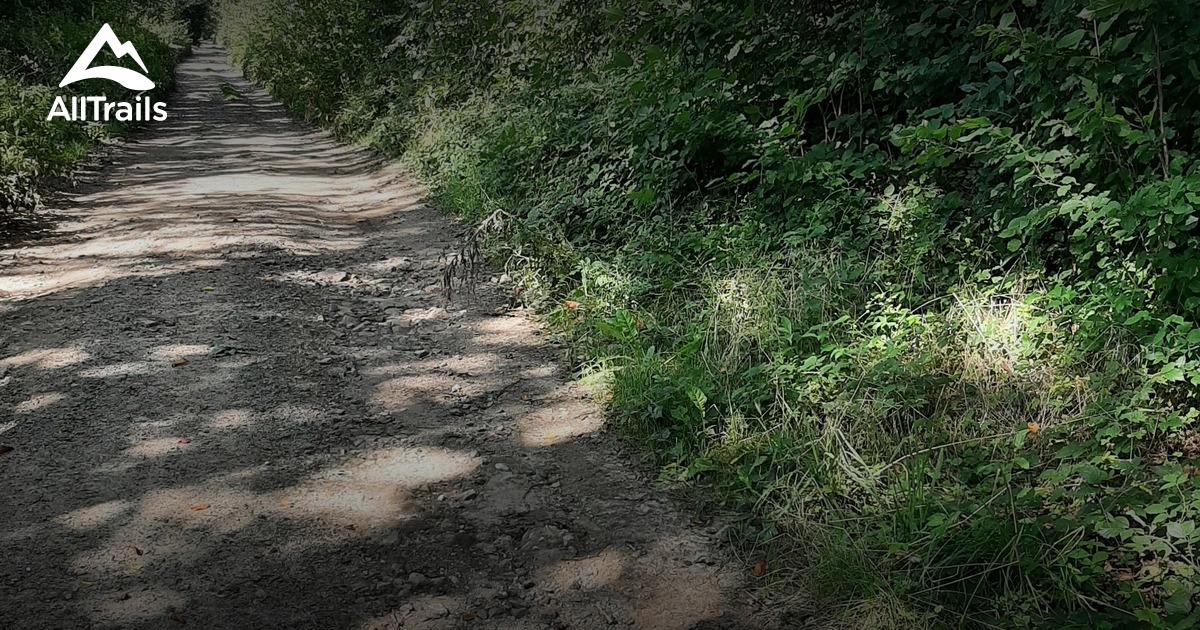 Best hikes and trails in Waterloo | AllTrails