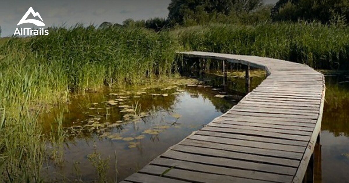 Best short trails in Diksmuide | AllTrails