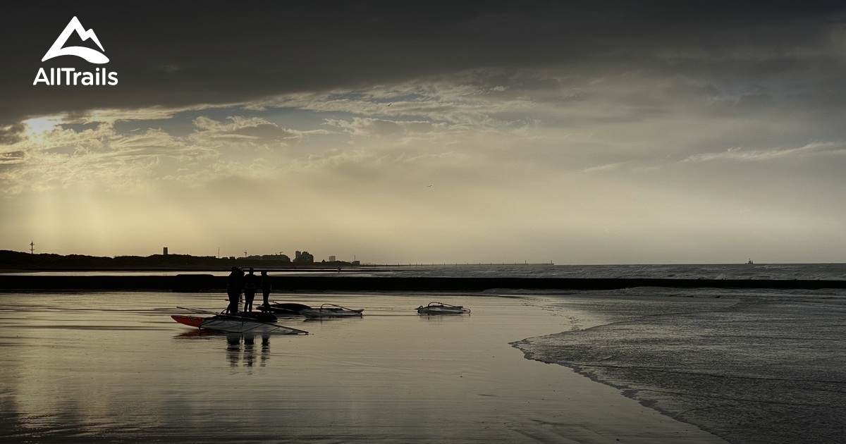 Best bird watching trails in Nieuwpoort | AllTrails