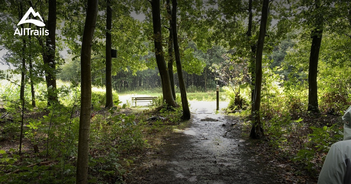 Best wildflower trails in Zonnebeke | AllTrails