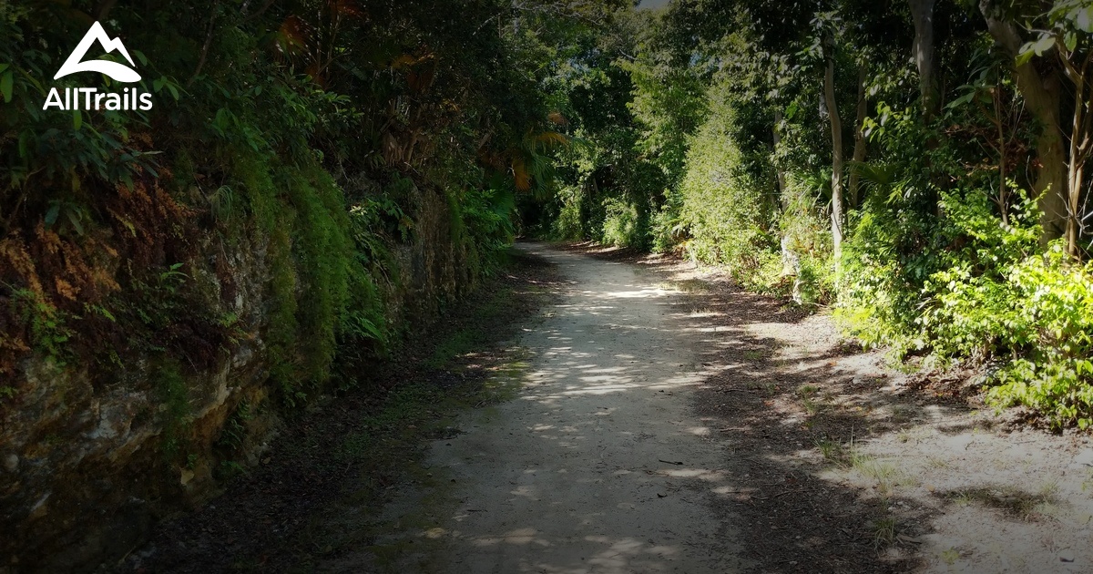 Best city walk trails in Hamilton | AllTrails