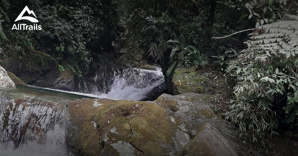 Resende: as dez melhores trilhas e caminhadas | AllTrails