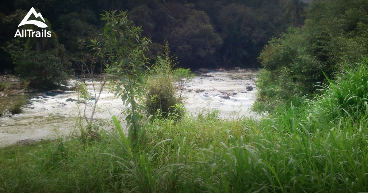 Best moderate trails in Rio Dos Cedros | AllTrails