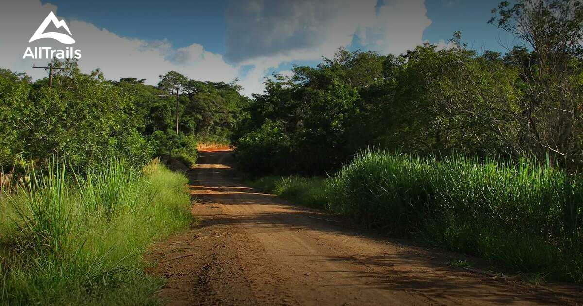 Best long trails in Assis | AllTrails