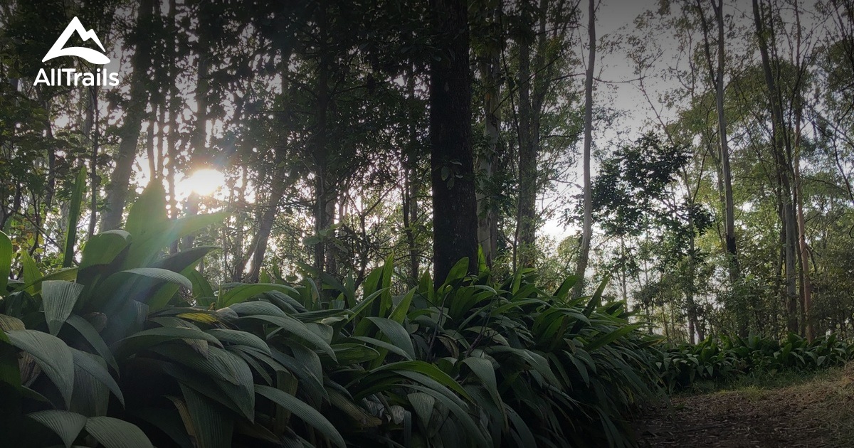 Best short trails in Caieiras | AllTrails
