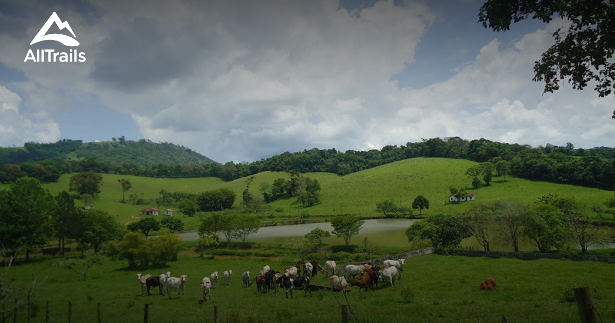 De beste routes met uitzicht in Monte Alegre Do Sul | AllTrails