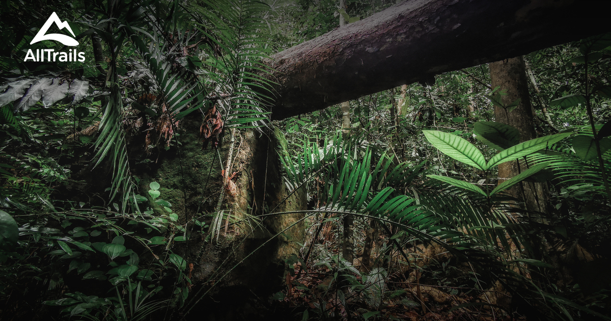 Best hikes and trails in Labi | AllTrails