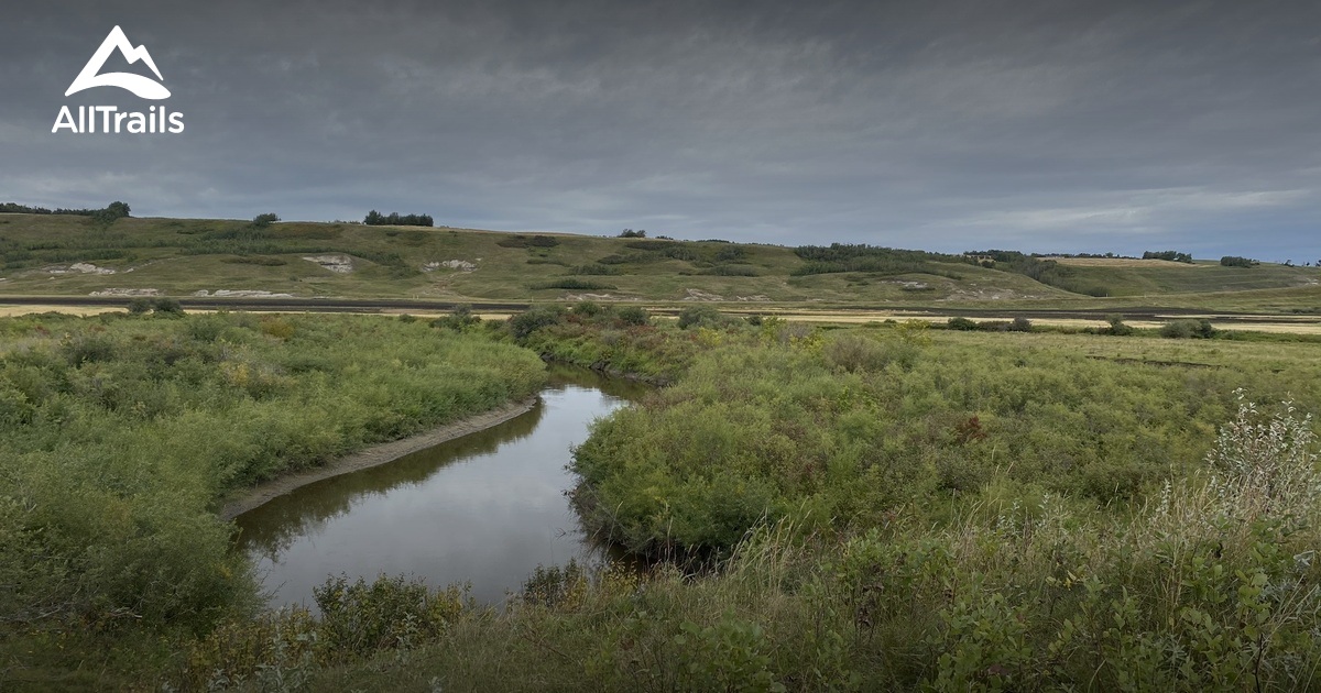 Bittern Lake : les meilleures randonnées pour voir des fleurs sauvages ...