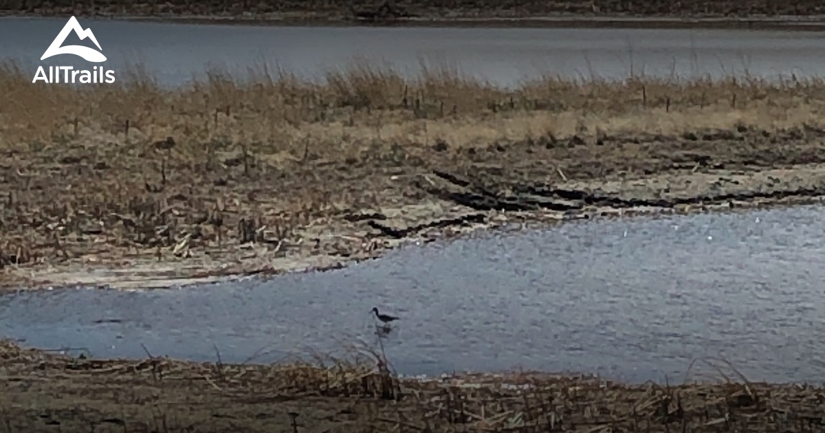 Best hikes and trails in Claresholm | AllTrails