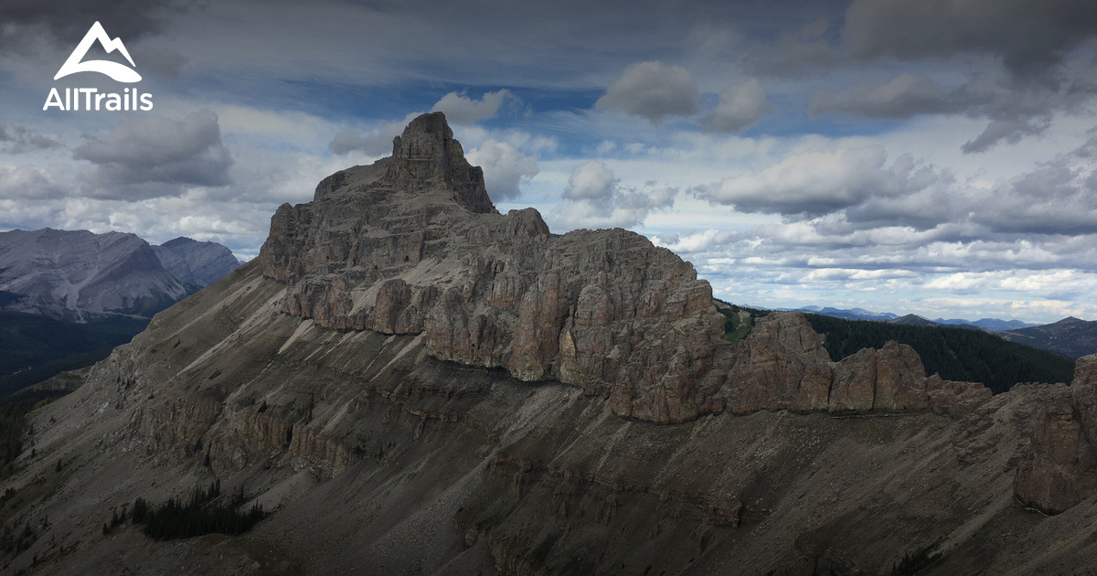 10 Best trails and hikes in Coleman | AllTrails