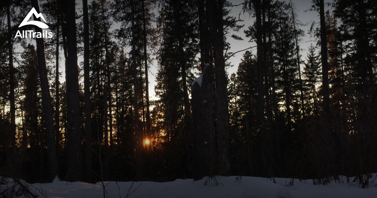 10 Best trails and hikes in Edson | AllTrails