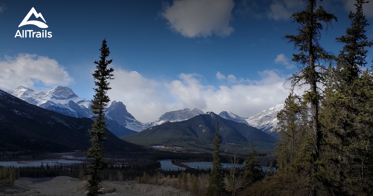 10 Best wildflower trails in Exshaw | AllTrails