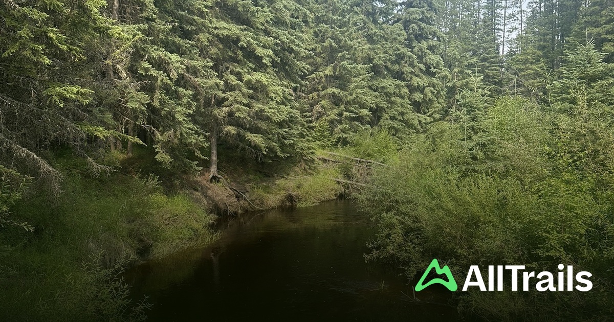 Best hikes and trails in Fox Creek | AllTrails