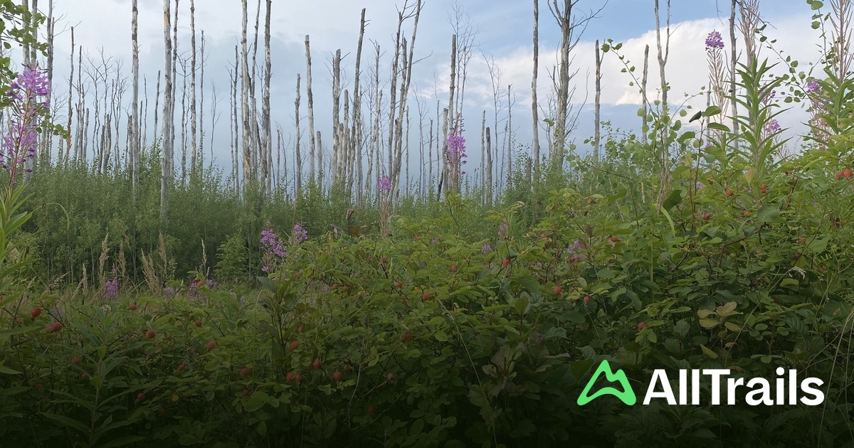 Best hikes and trails in Gregoire Lake Estates | AllTrails