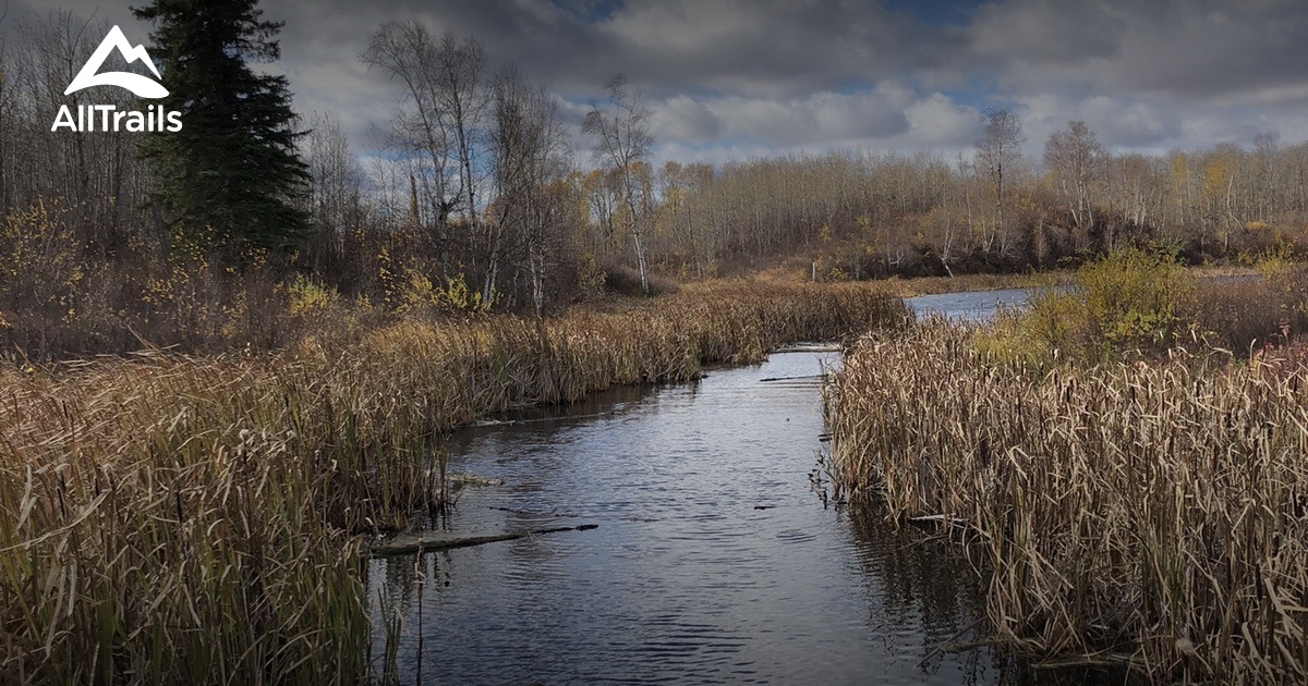 Best hikes and trails in Hay Lakes | AllTrails