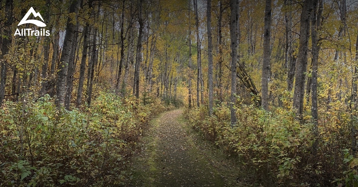 Best hikes and trails in High Prairie | AllTrails