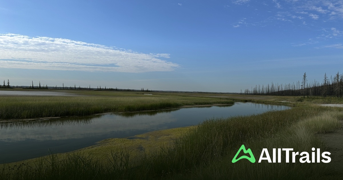 Best Trails, Walks, and Paths in Improvement District No. 24 Wood ...