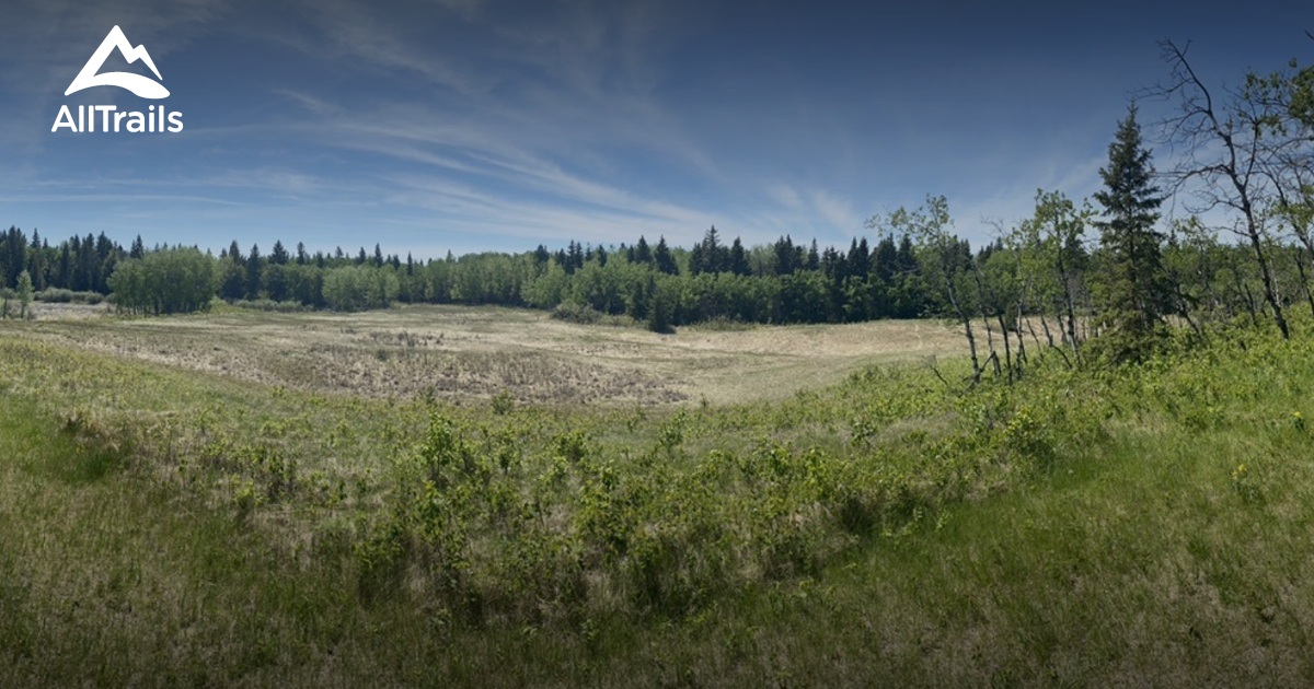Best hikes and trails in Lacombe County | AllTrails