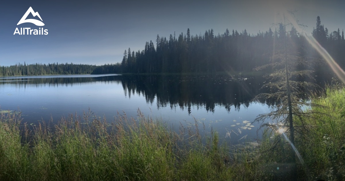 Best hikes and trails in Lesser Slave River No. 124 | AllTrails