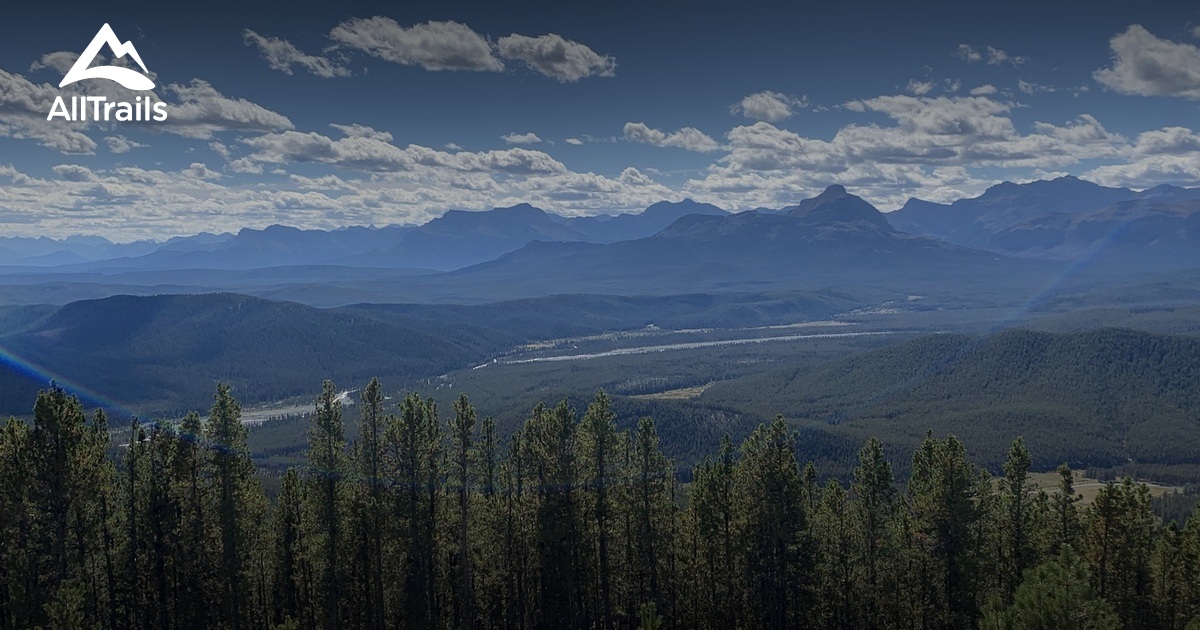 Best hikes and trails in Morley | AllTrails