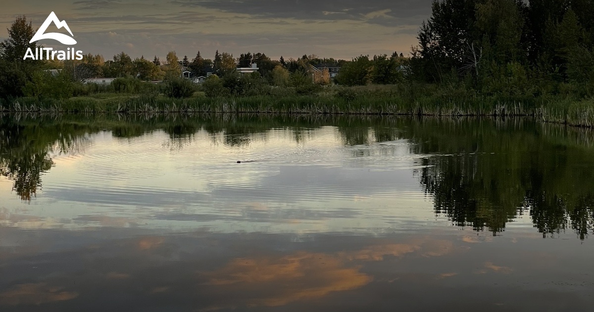 Best hikes and trails in Nisku | AllTrails