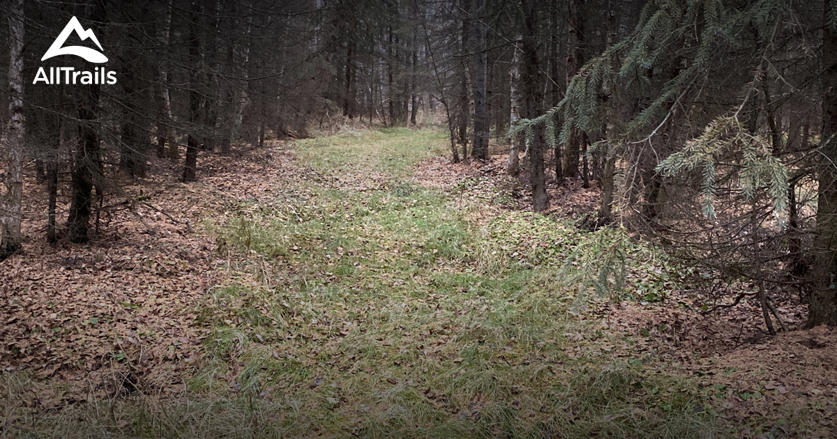 Best hikes and trails in Onoway | AllTrails