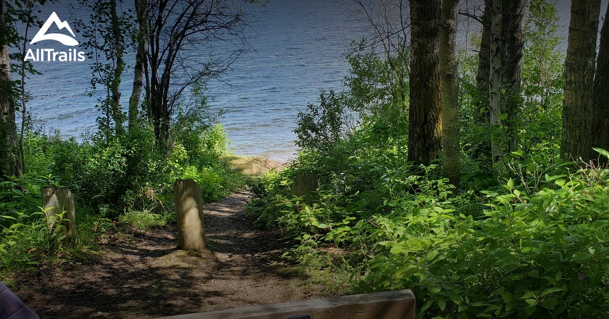 Best forest trails in Poplar Bay | AllTrails