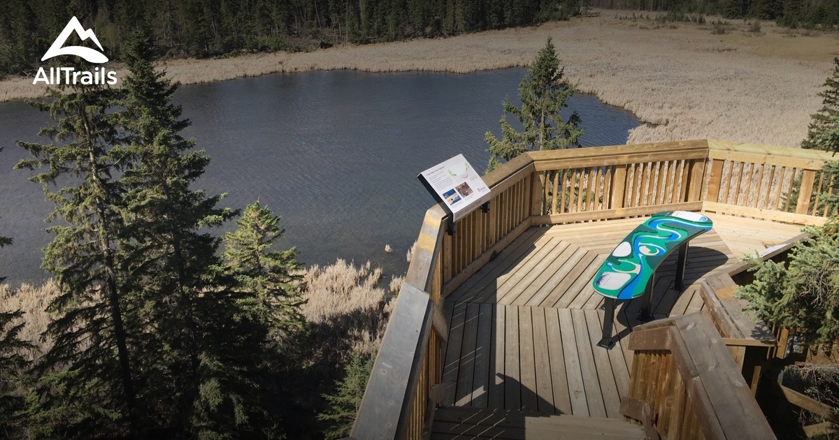 10 Best trails and hikes in Red Deer | AllTrails