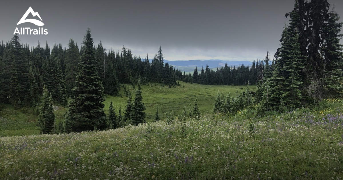 Best hikes and trails in Allenby | AllTrails