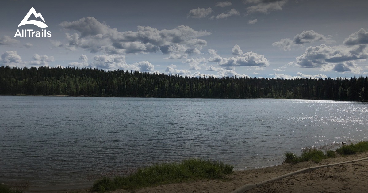 Best forest trails in Anzac | AllTrails