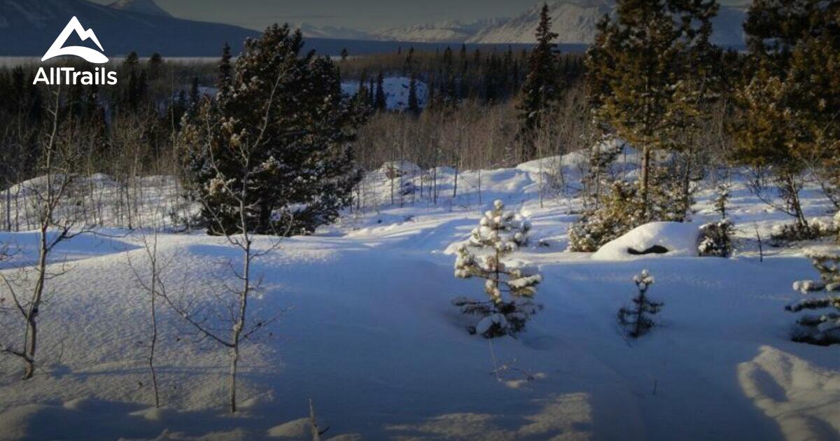 10 Best trails and hikes in Atlin | AllTrails