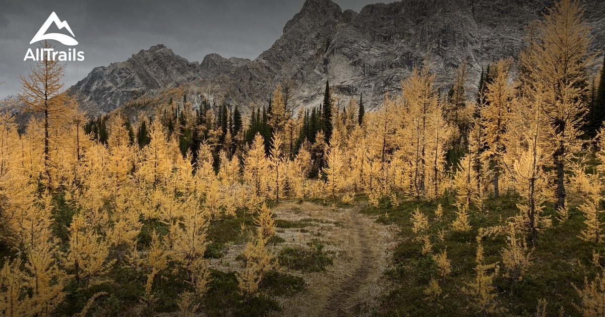 Best hikes and trails in Brisco | AllTrails