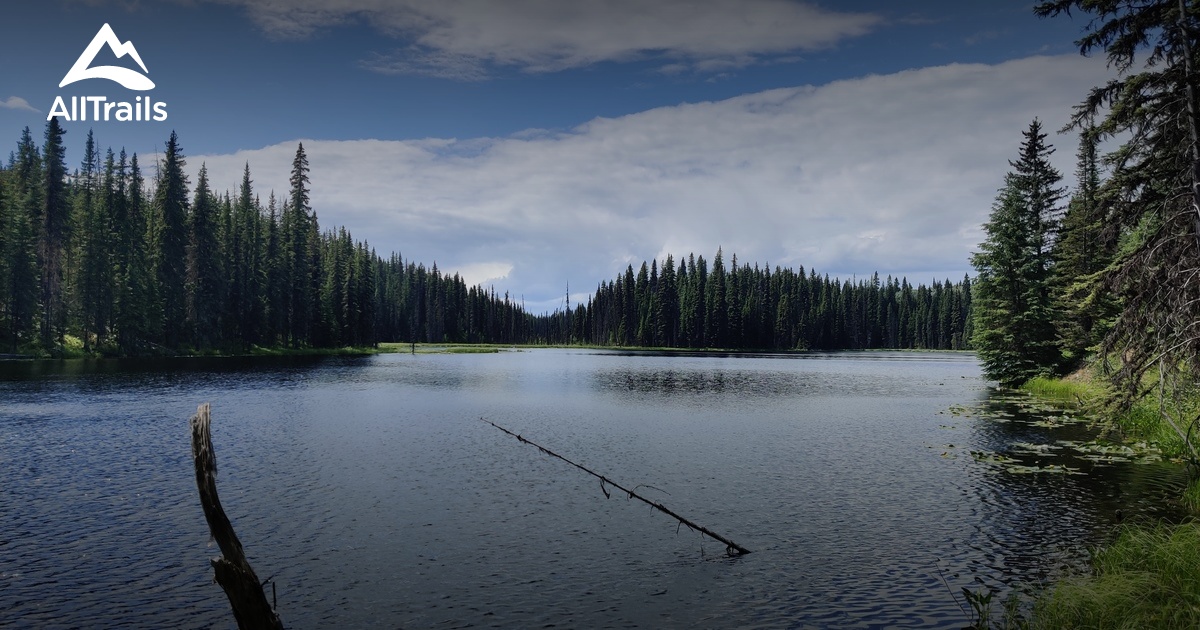 Best Trails near Bulkley-Nechako B, British Columbia Canada | AllTrails