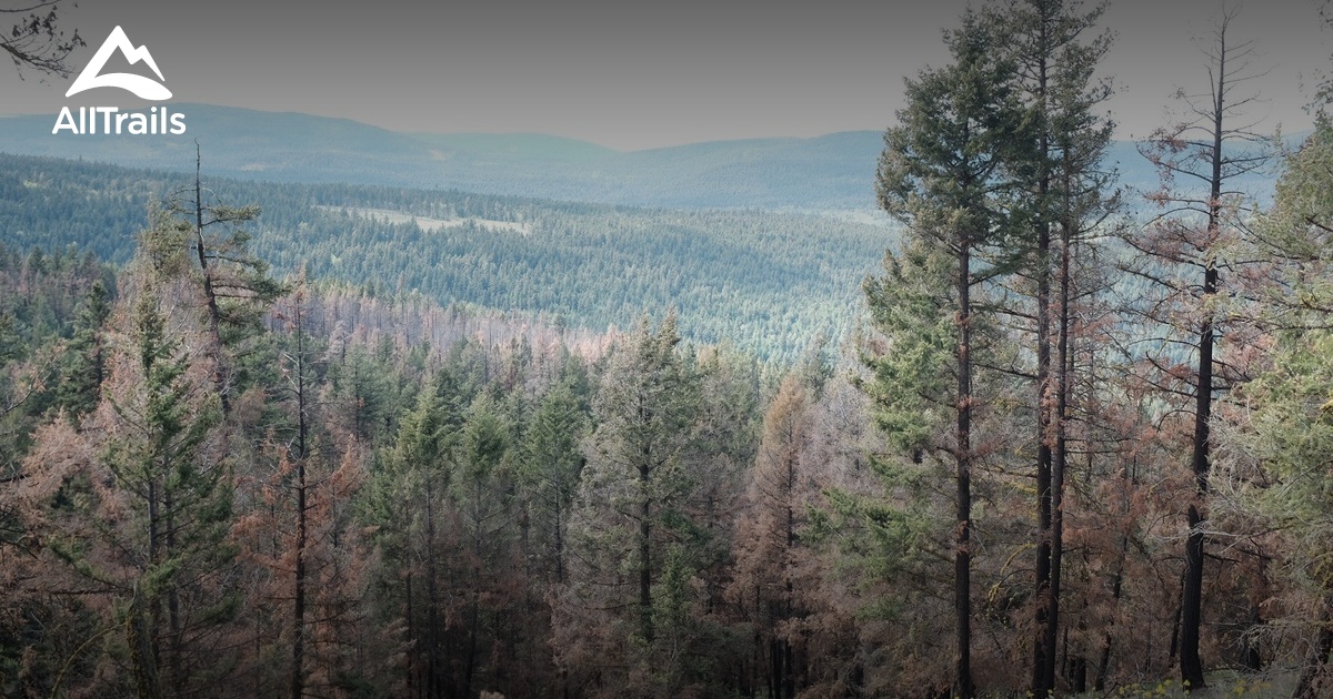 Best off-road-driving trails in Cache Creek | AllTrails