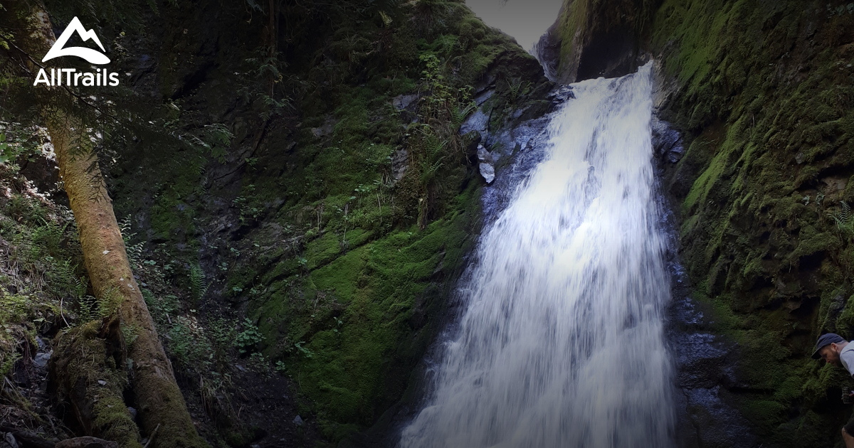 10 Best river trails in Castlegar | AllTrails