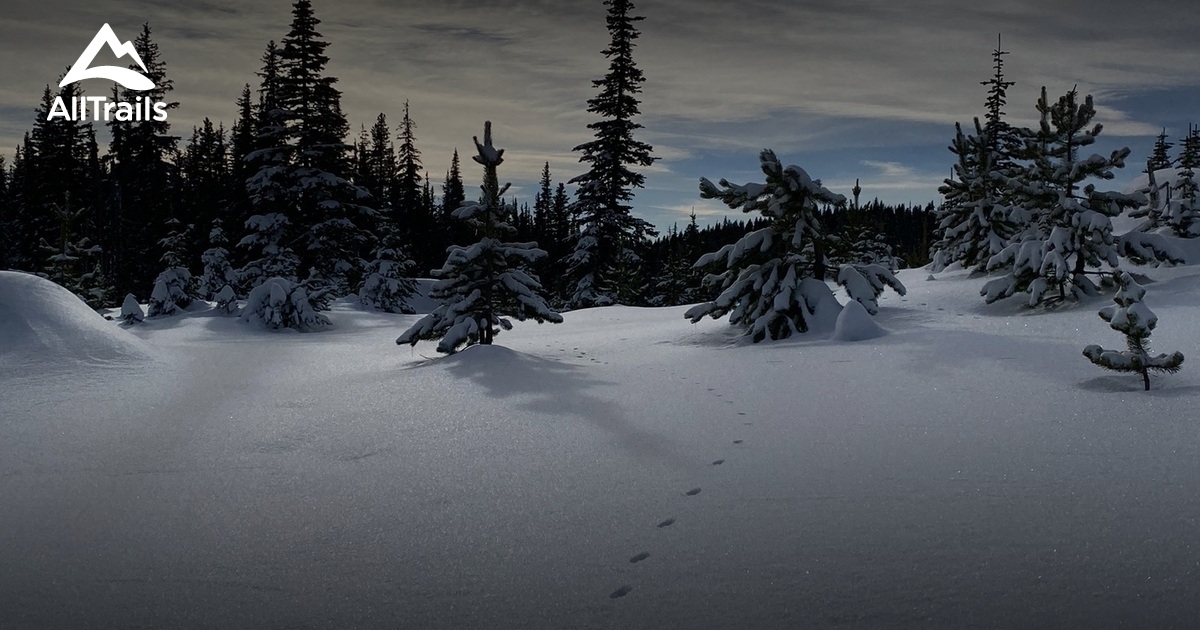 Best hikes and trails in Chuchuwayha 2 | AllTrails