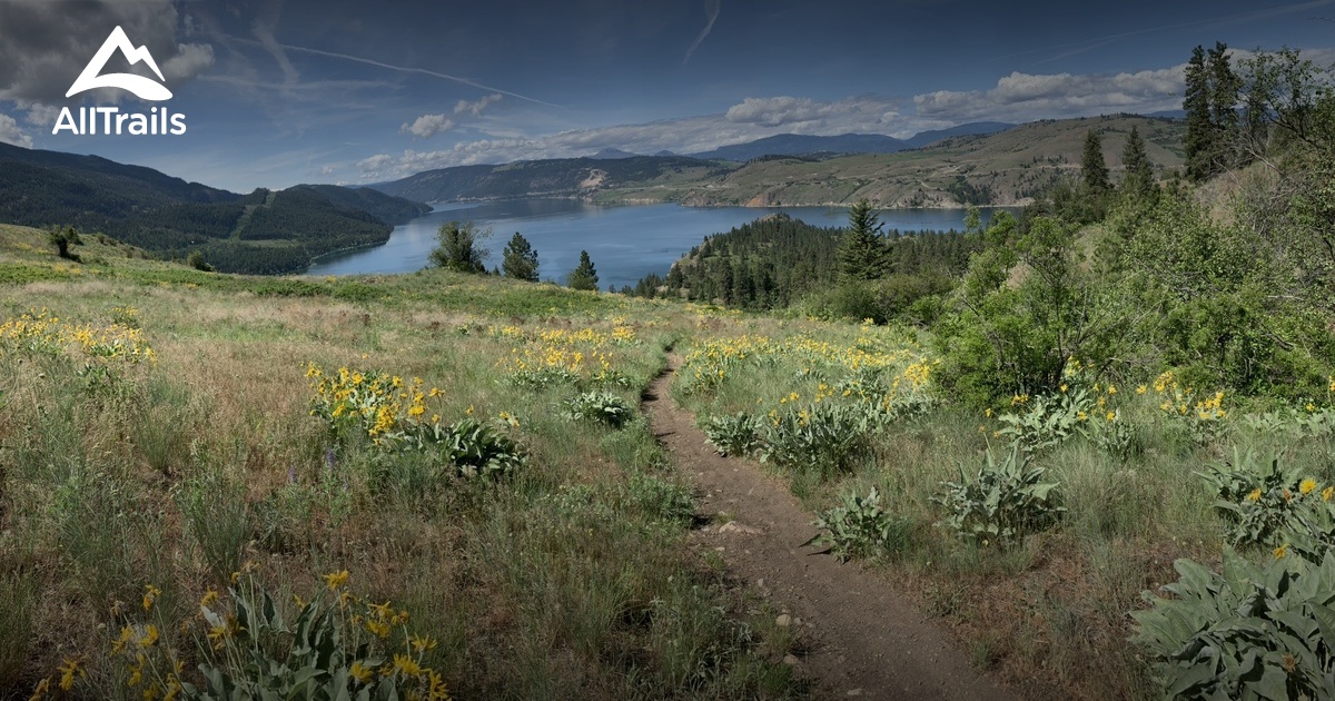 10 Best wildflower trails in Coldstream | AllTrails