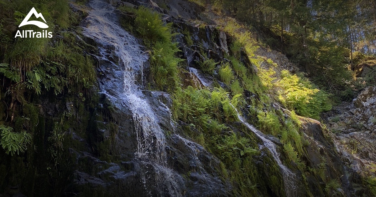 Best hikes and trails in Cowichan Valley H | AllTrails