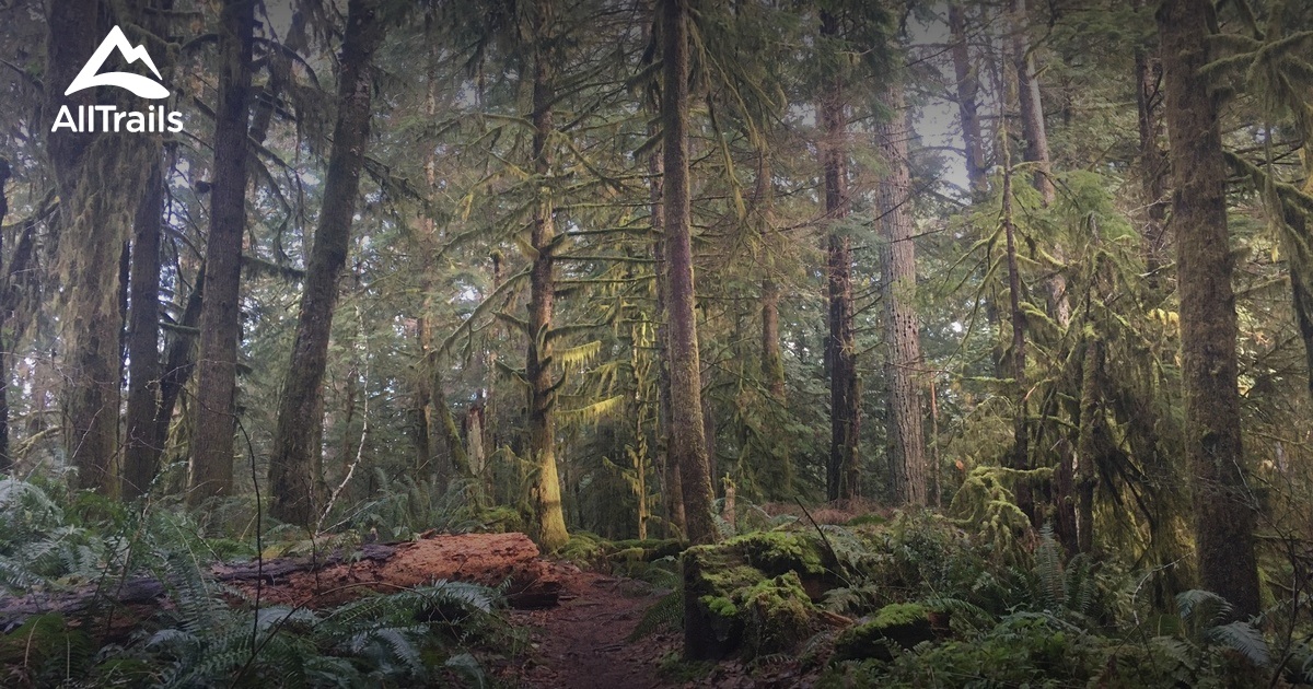 Best hikes and trails in Deep Bay/Bowser | AllTrails