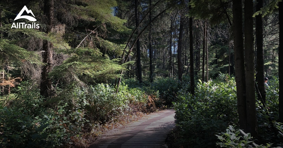 Best Trails near Delta, British Columbia, Canada | AllTrails