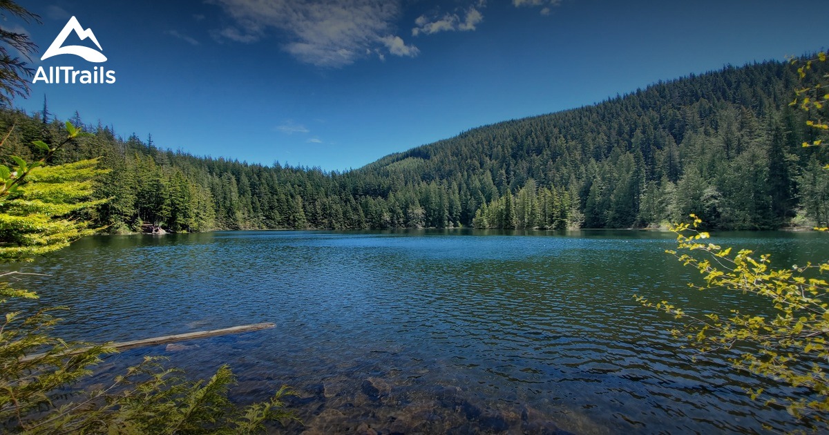 Best hikes and trails in Dewdney | AllTrails