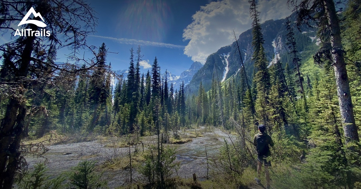 10 Best trails and hikes in Donald | AllTrails
