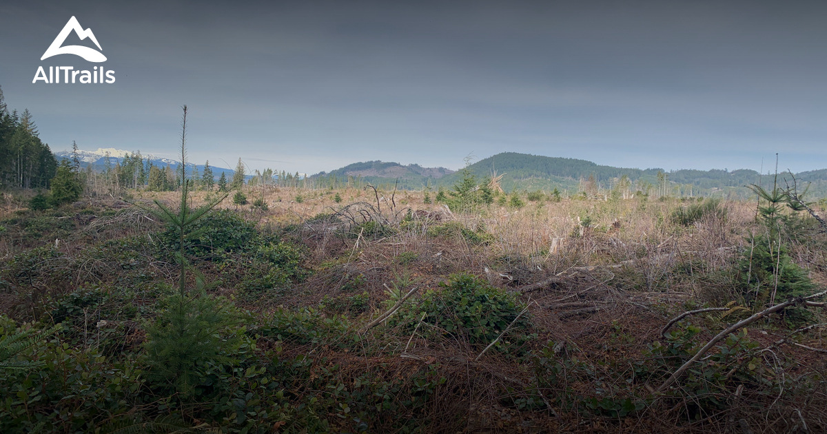 10 Best trails and hikes in East Wellington | AllTrails