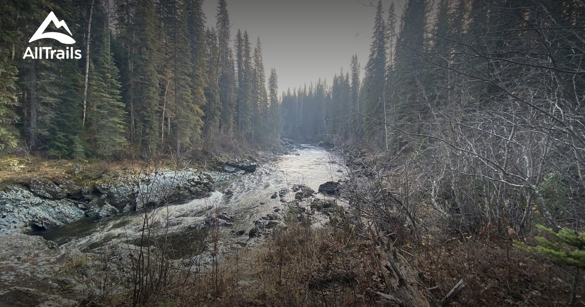 Best camping trails in Ferndale | AllTrails